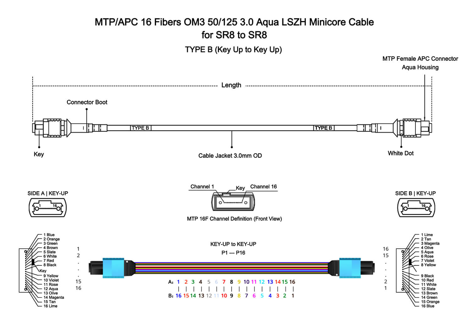 10ft MTP/MPO 16-Fiber 400G 50/125 OM3 Multi-mode Fiber Optic Patch Cabe ...